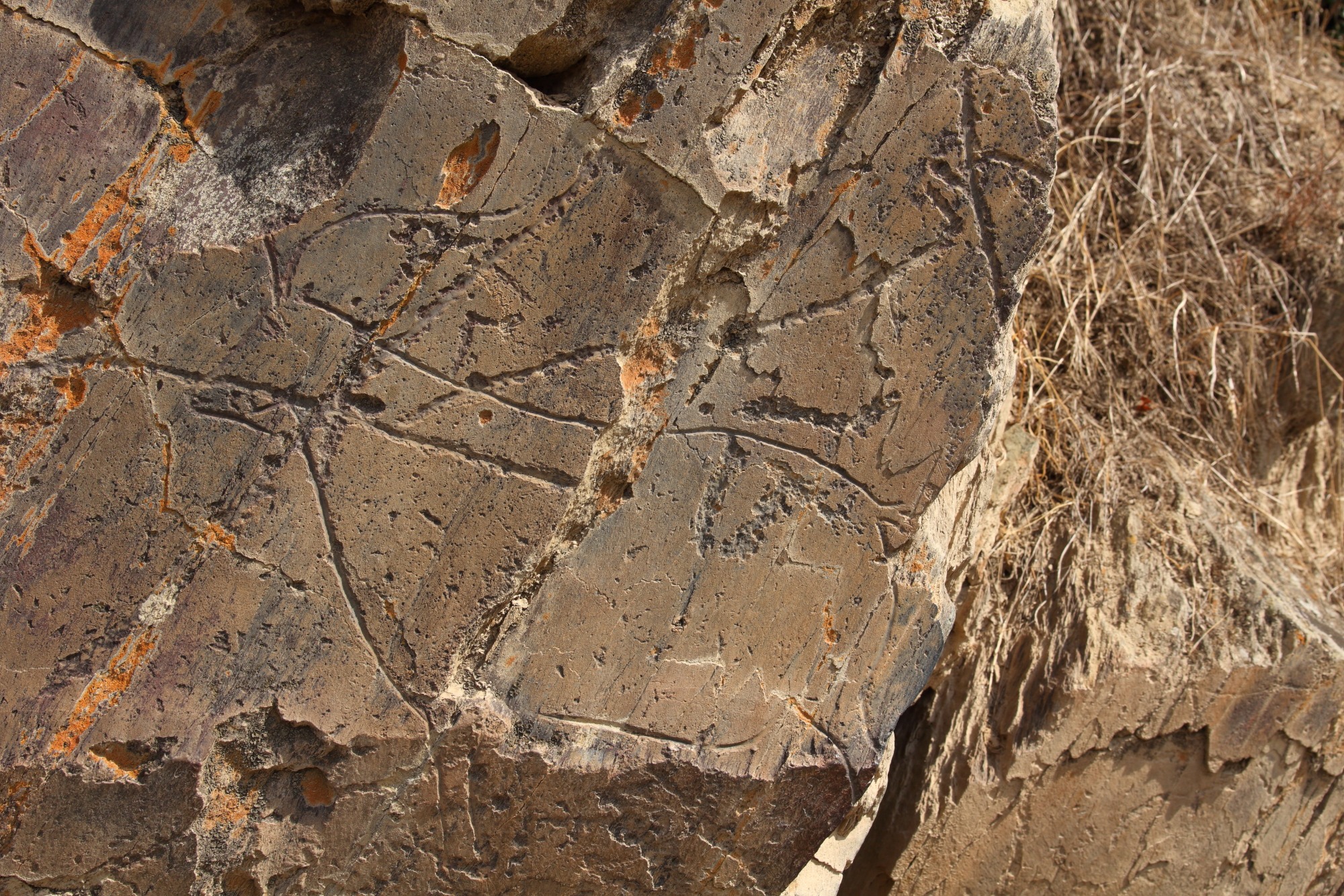 What to Visit in Vila Nova de Foz Côa | Vintage House Hotel